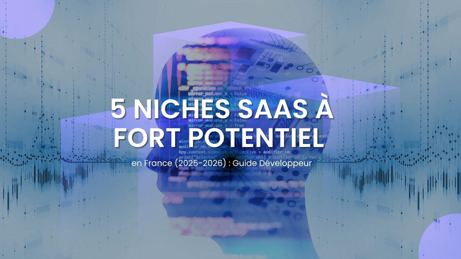 5 Niches SaaS à Fort Potentiel en France (2025-2026) : Guide ...